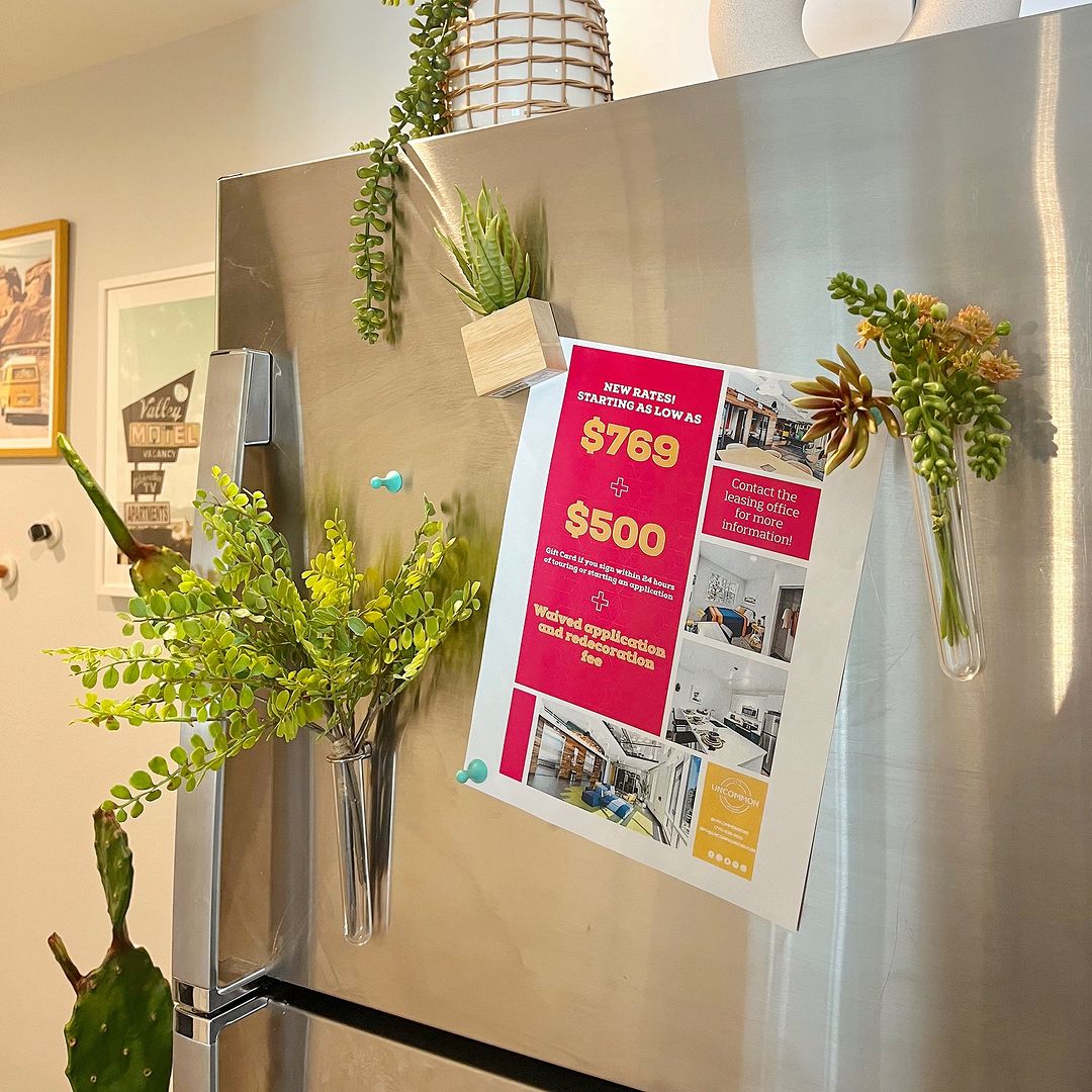 Uncommon Reno | Student Housing Reno